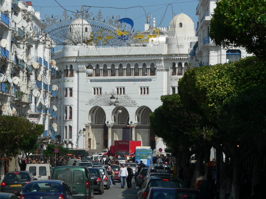 My Brother the Traveler