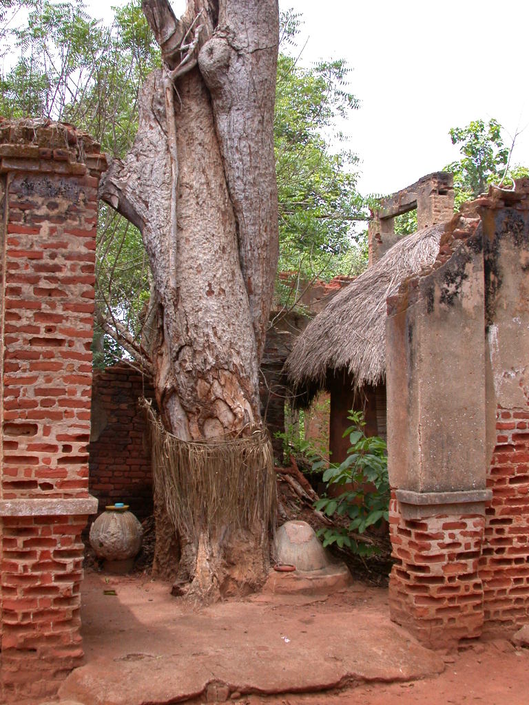 My Brother the Traveler