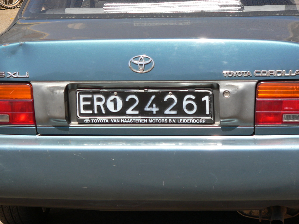 My Brother the Traveler