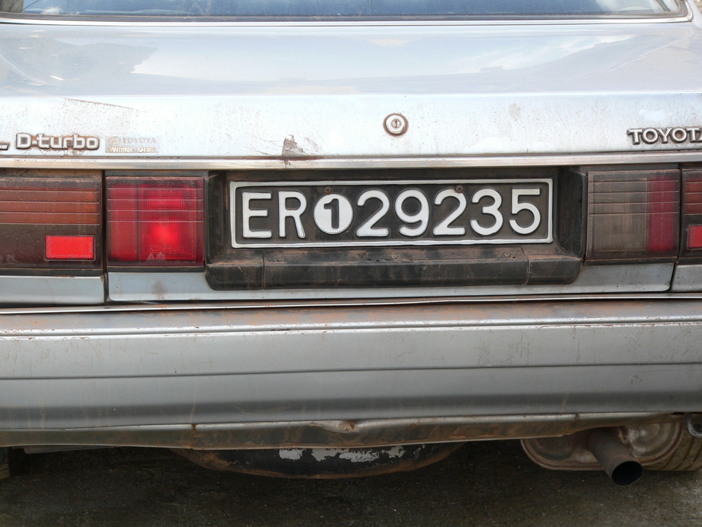 My Brother the Traveler