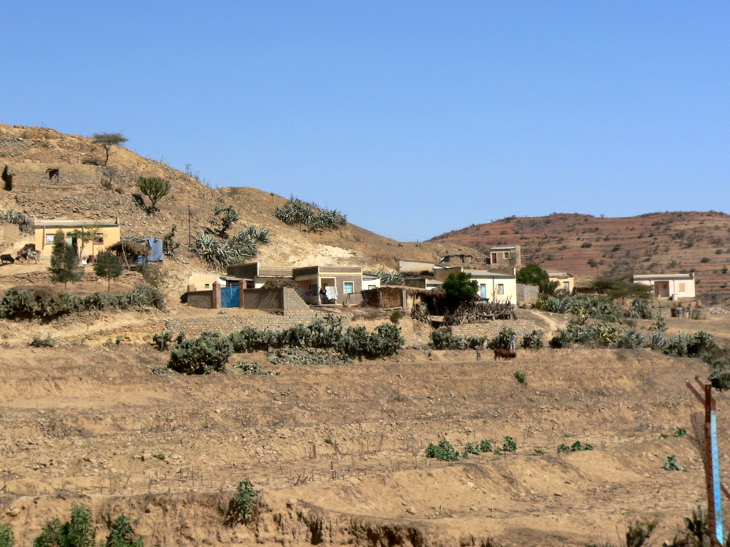 My Brother the Traveler