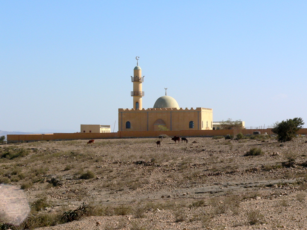 My Brother the Traveler