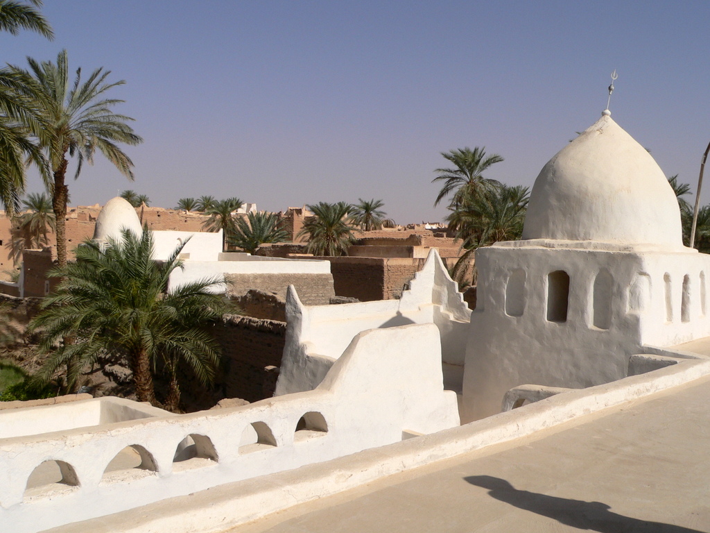 My Brother the Traveler