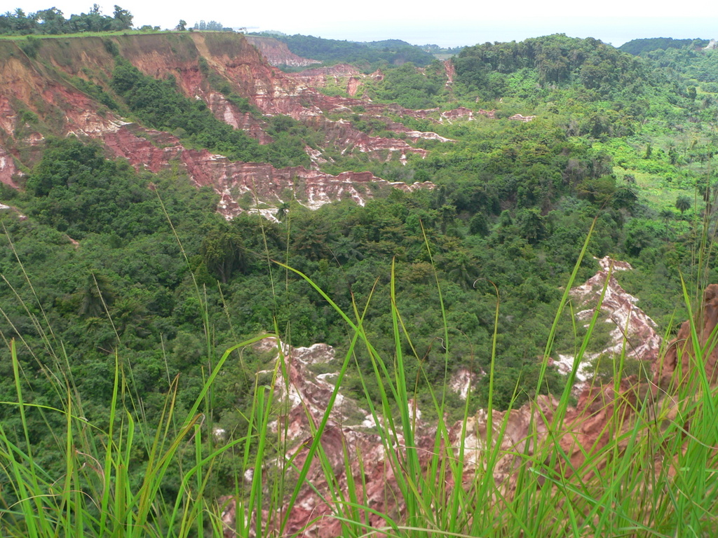 My Brother the Traveler