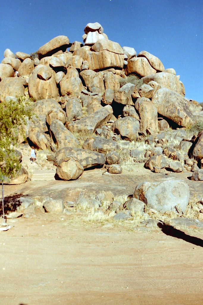 My Brother the Traveler