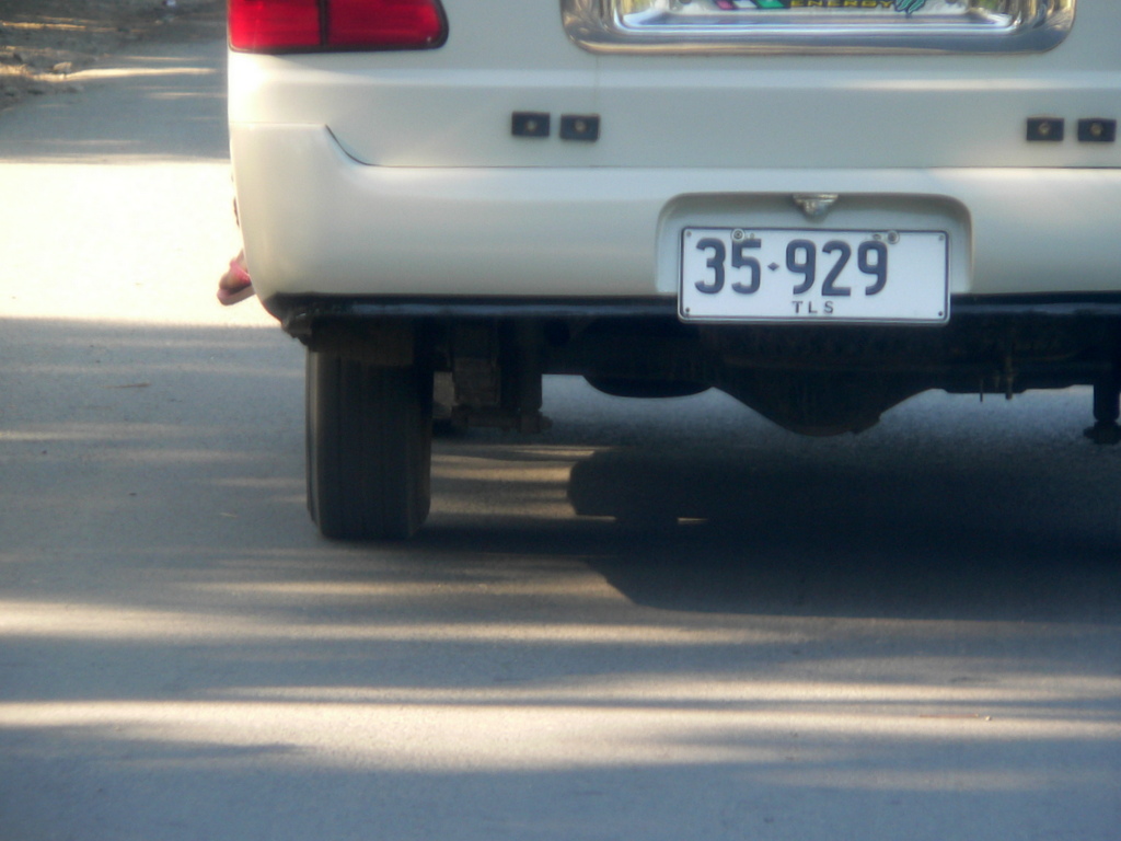 My Brother the Traveler