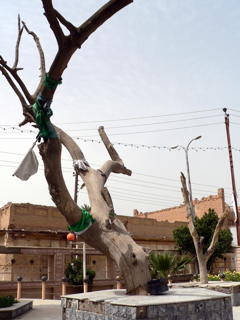 My Brother the Traveler