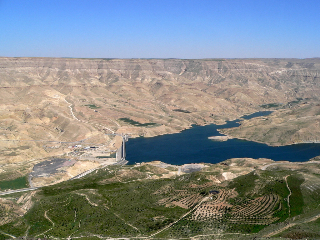 My Brother the Traveler