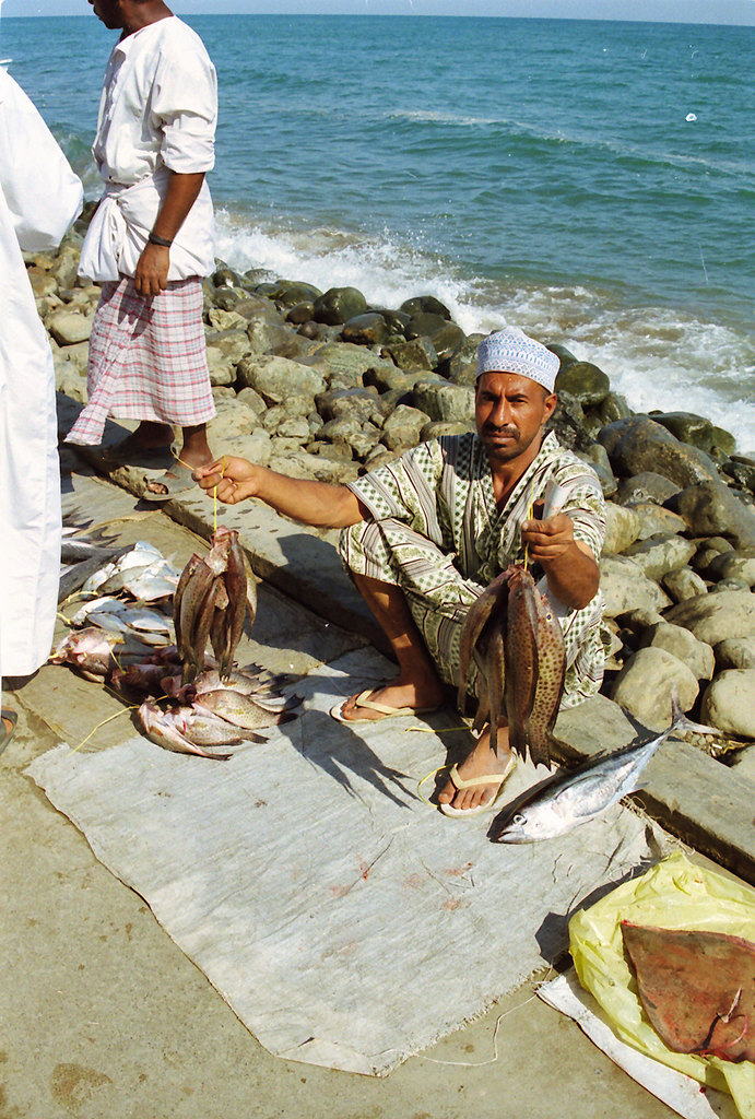 My Brother the Traveler