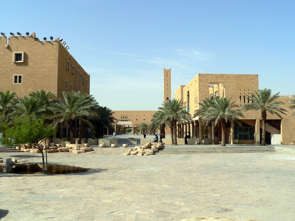 My Brother the Traveler