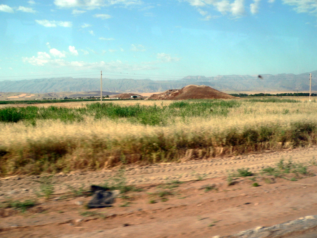 My Brother the Traveler