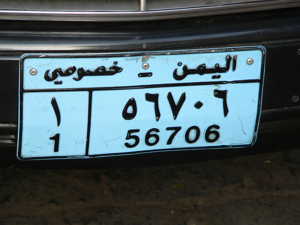 My Brother the Traveler