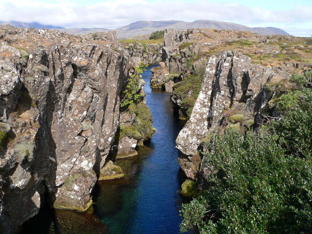 My Brother the Traveler