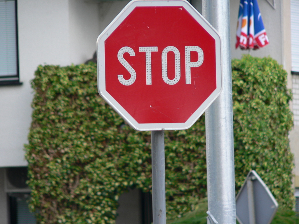 My Brother the Traveler