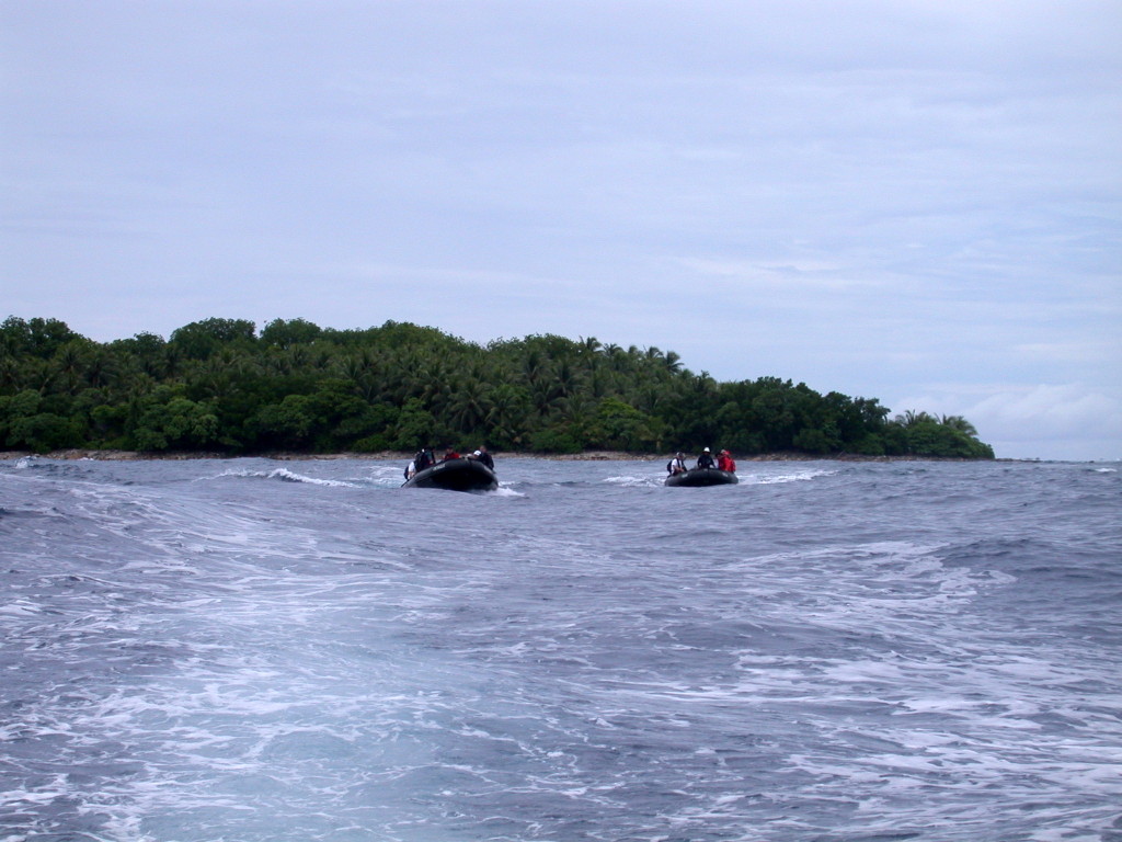 My Brother the Traveler