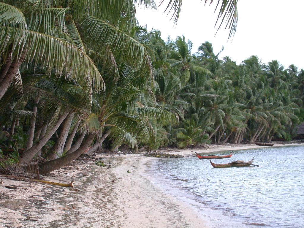 My Brother the Traveler