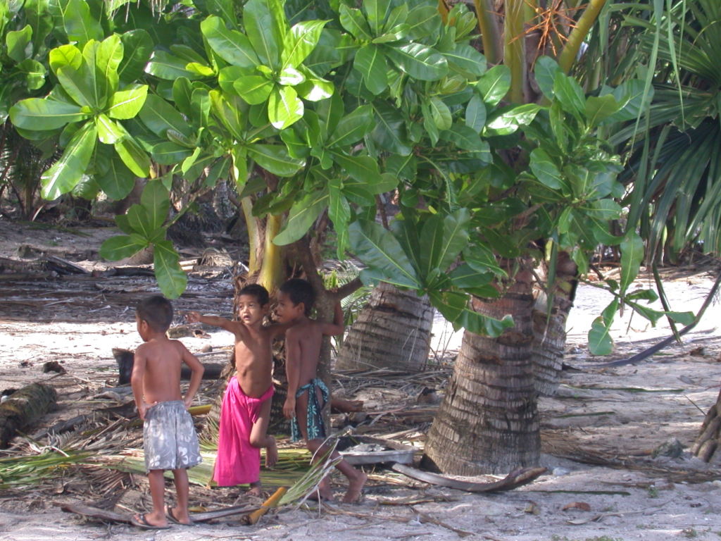 My Brother the Traveler