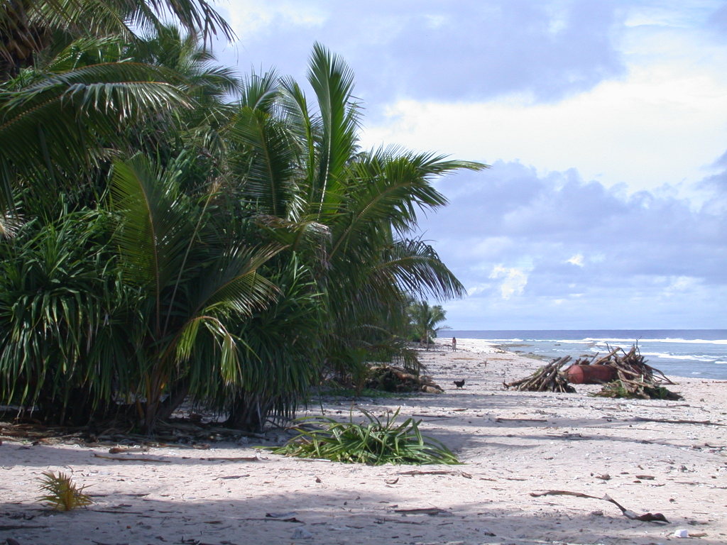 My Brother the Traveler