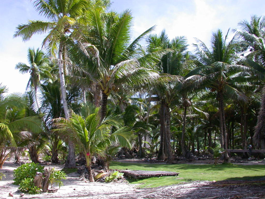 My Brother the Traveler