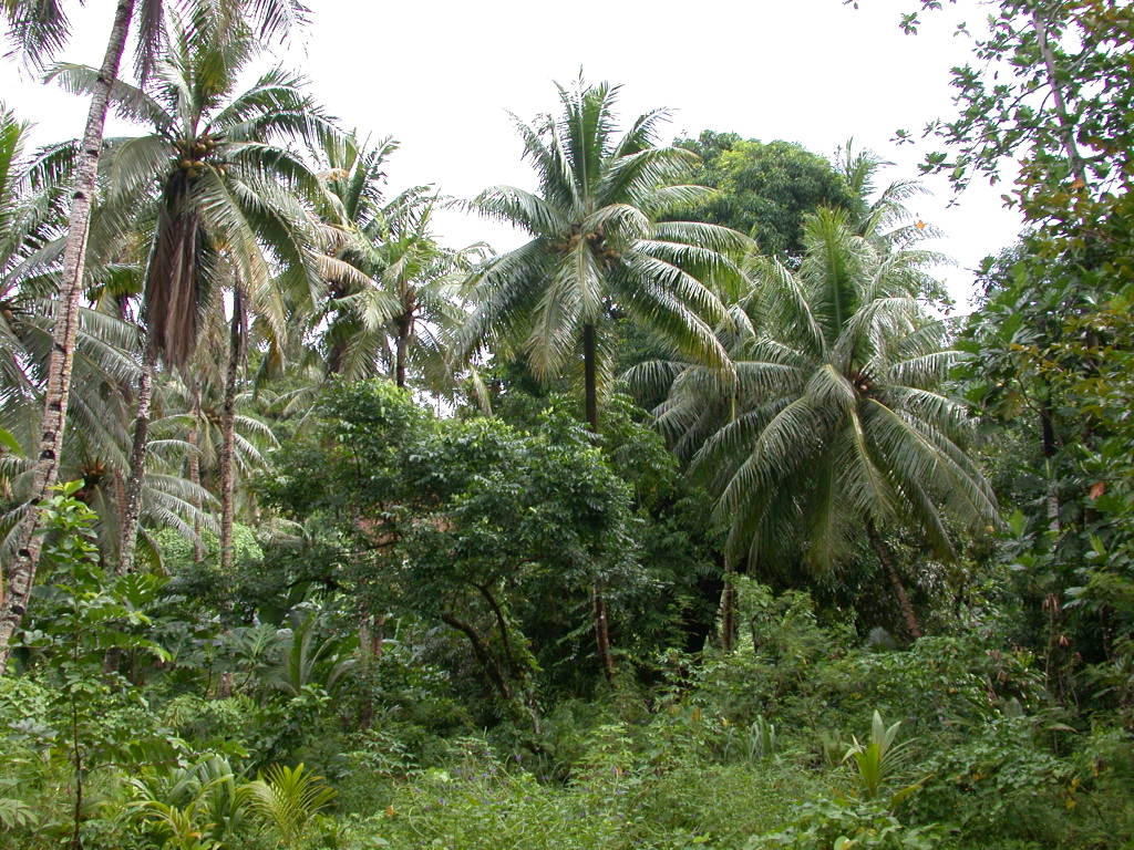 My Brother the Traveler