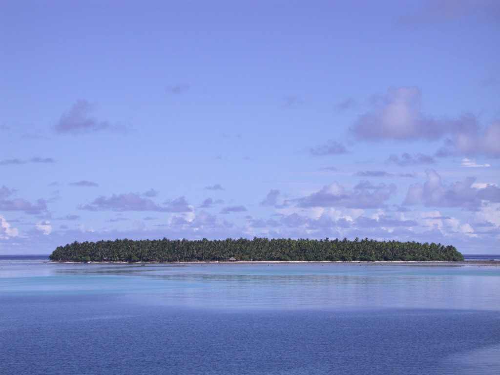 My Brother the Traveler