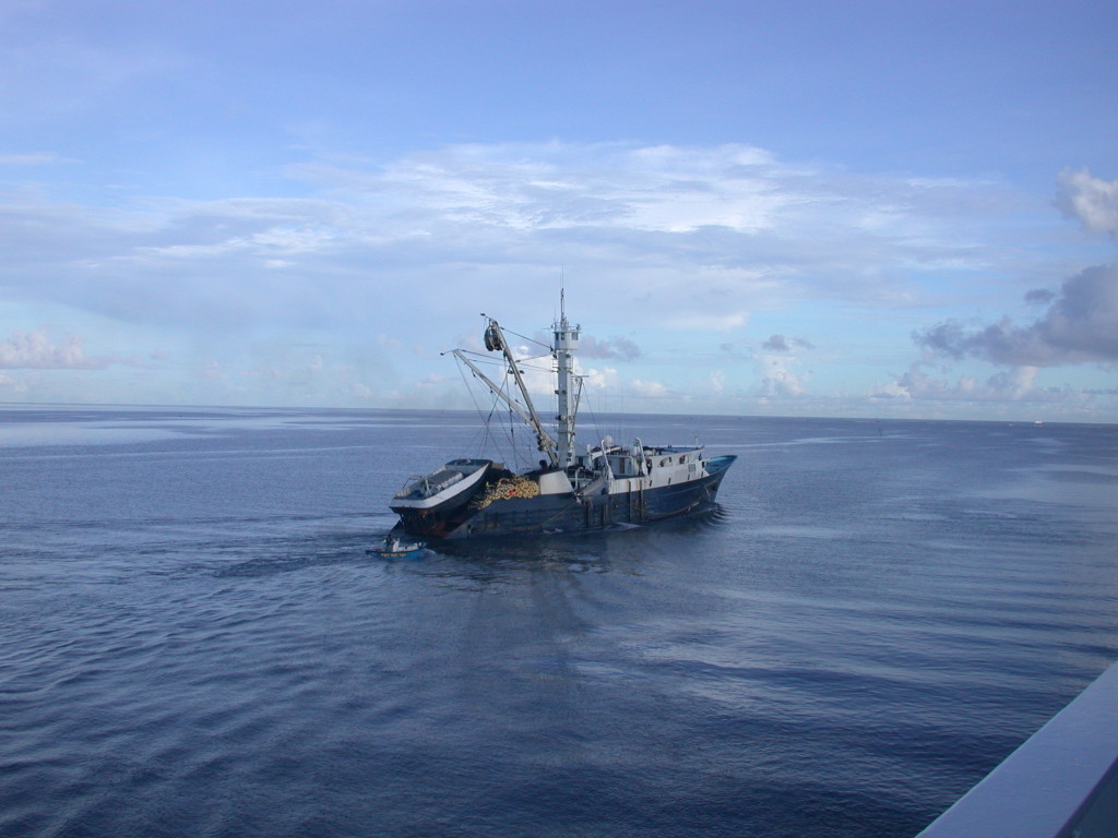 My Brother the Traveler