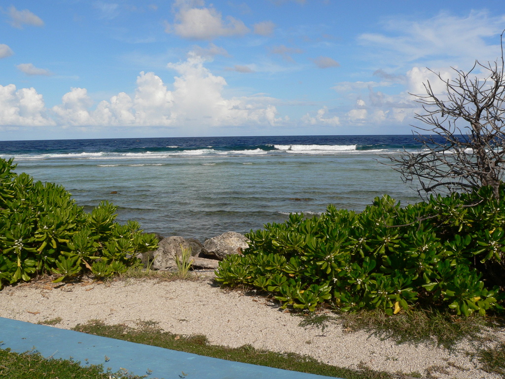 My Brother the Traveler