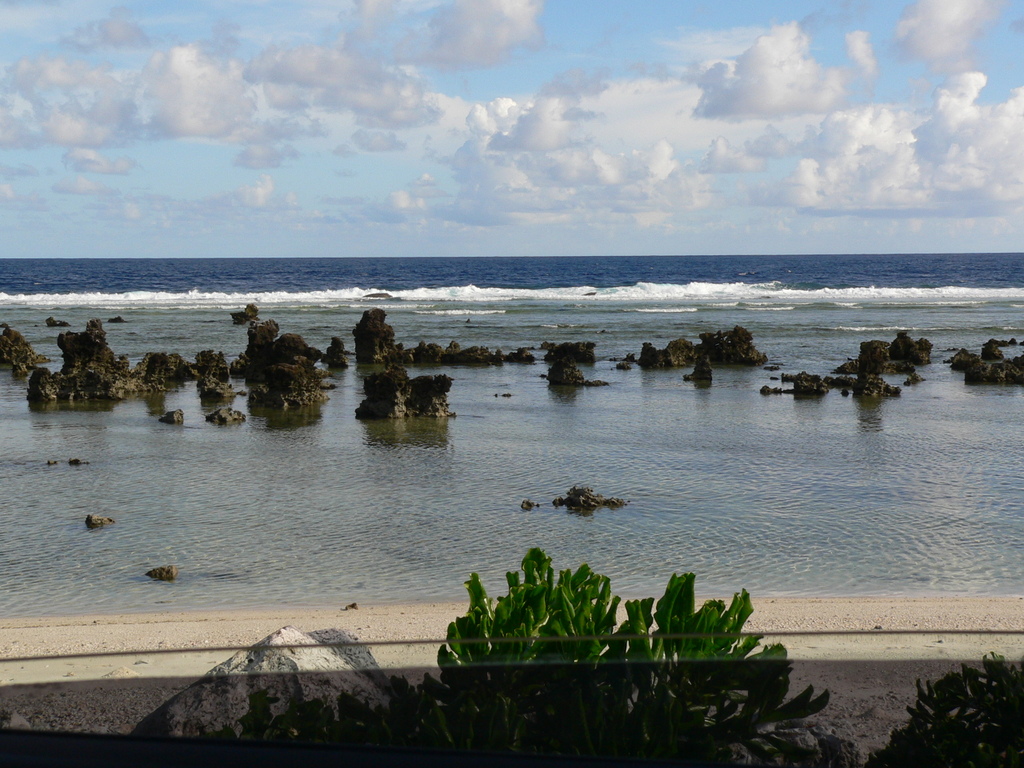 My Brother the Traveler