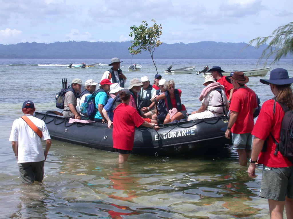 My Brother the Traveler