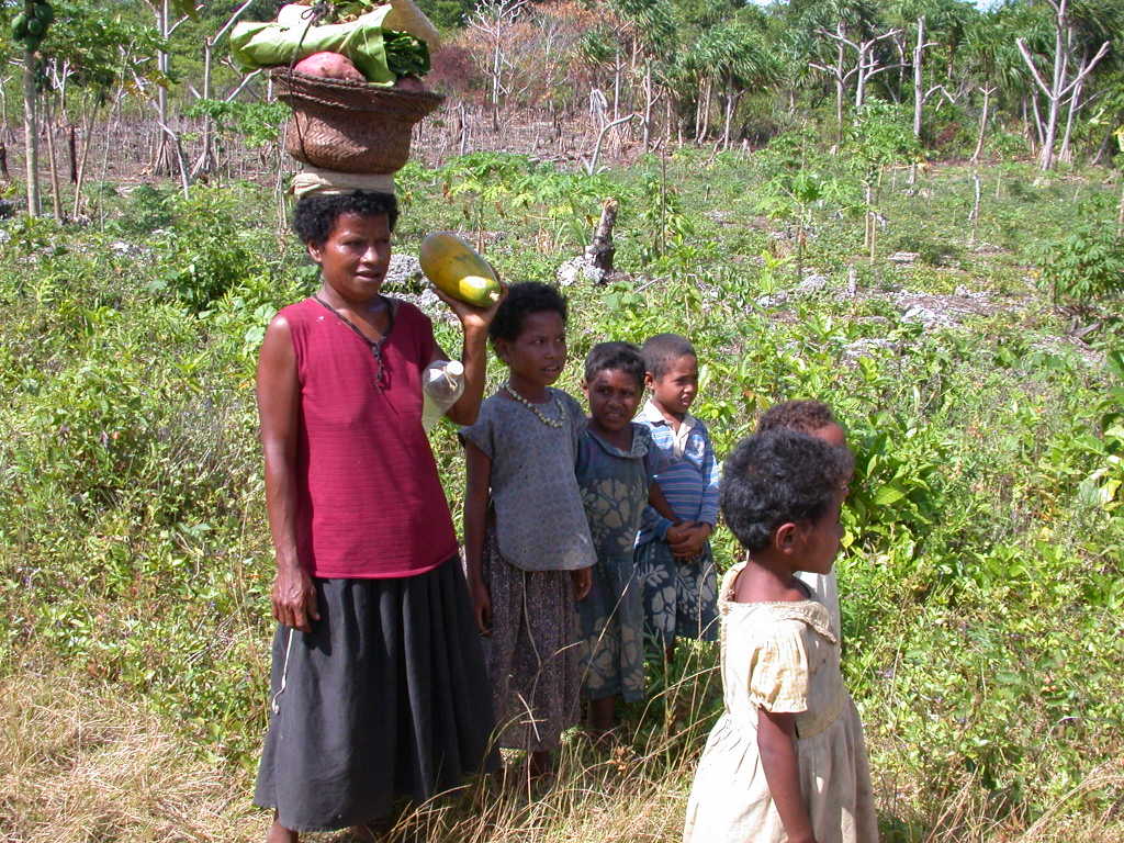 My Brother the Traveler