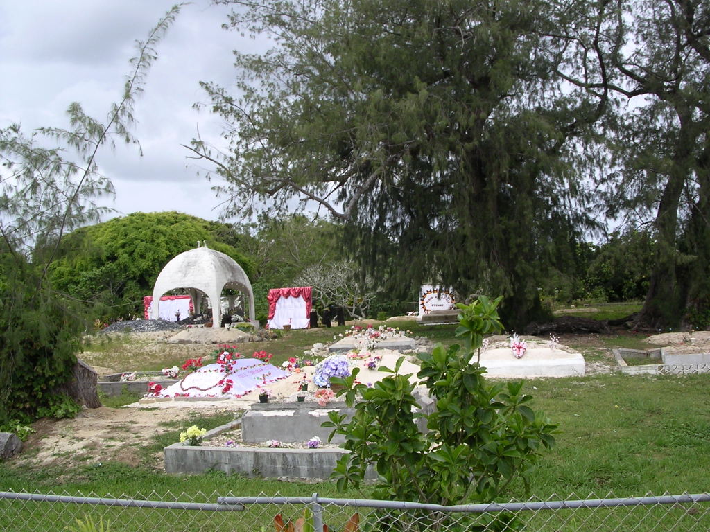 My Brother the Traveler