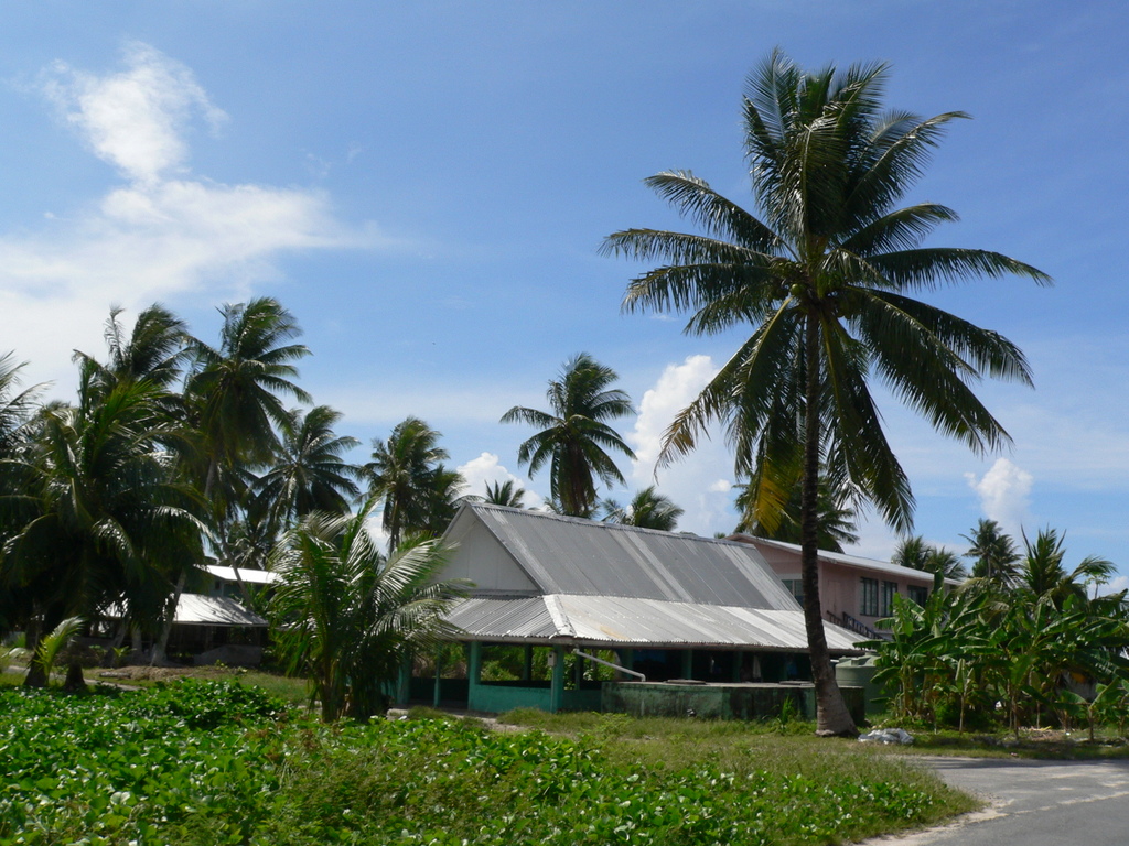 My Brother the Traveler