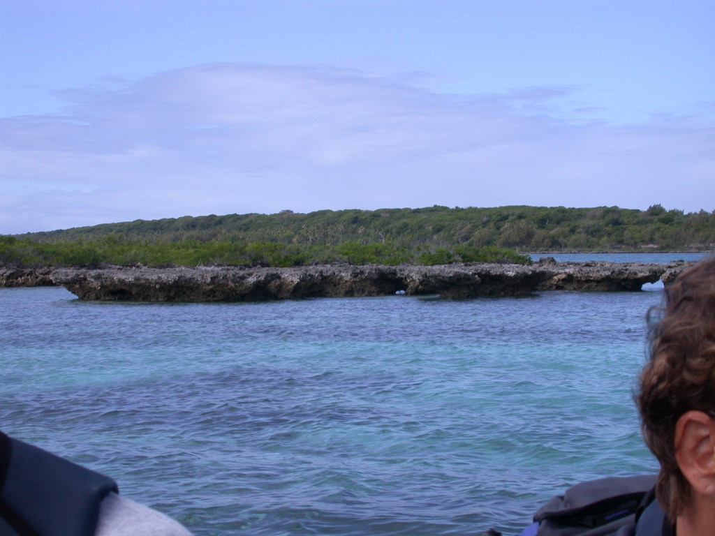 My Brother the Traveler