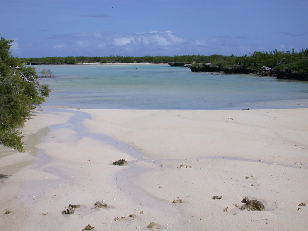 My Brother the Traveler