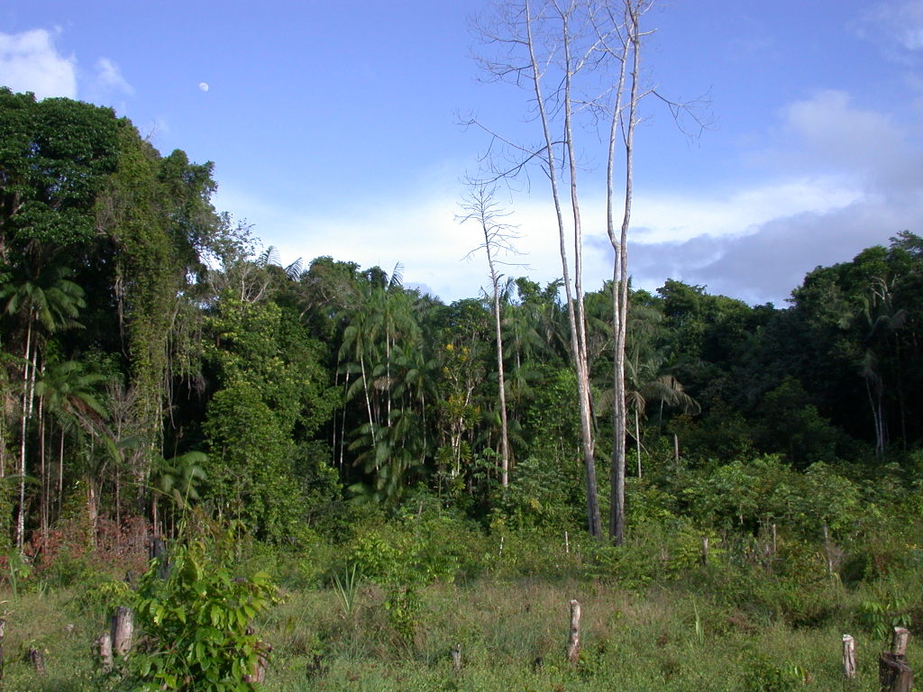 My Brother the Traveler